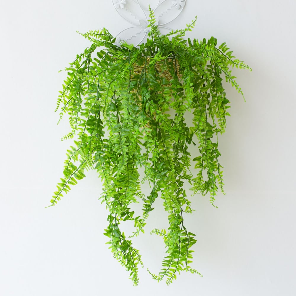 The EverLush Hanging Vine - A Perfect Plant, No Maintenance - 1+1 OFF ...